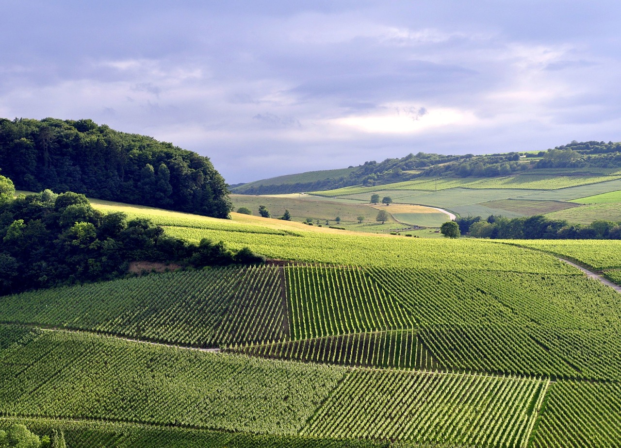 Kinderweltreise ǀ Luxemburg - Land